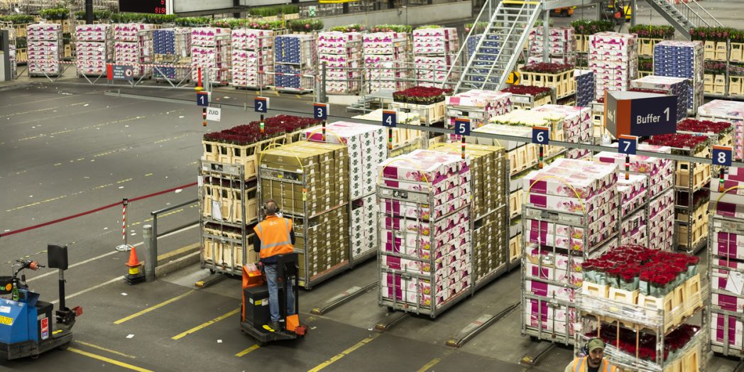 Element Logic Insights: Automation and Innovation